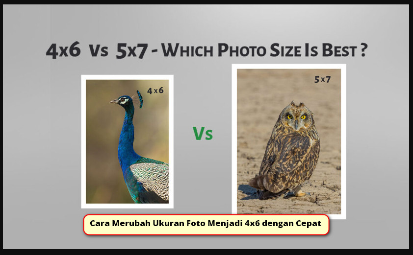 Tutorial Praktis: Cara Merubah Ukuran Foto Menjadi 4×6 dengan Cepat ... Tutorial Praktis: Cara Merubah Ukuran Foto Menjadi 4×6 dengan Cepat ...